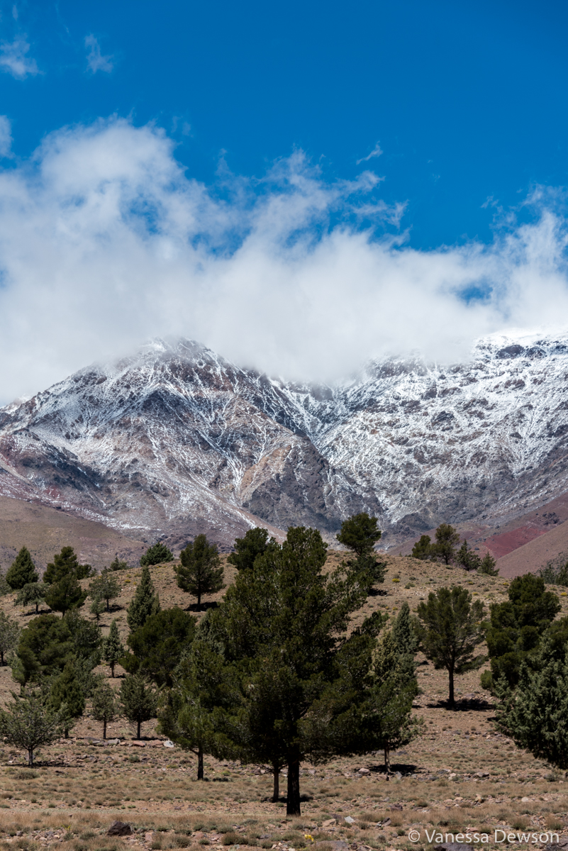 Morocco – Part 3 (High Atlas Mountains to the Sahara Desert) | Focus on ...